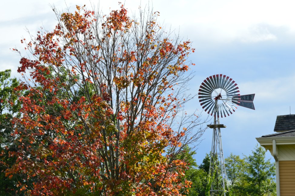 windmill – Wandering Way