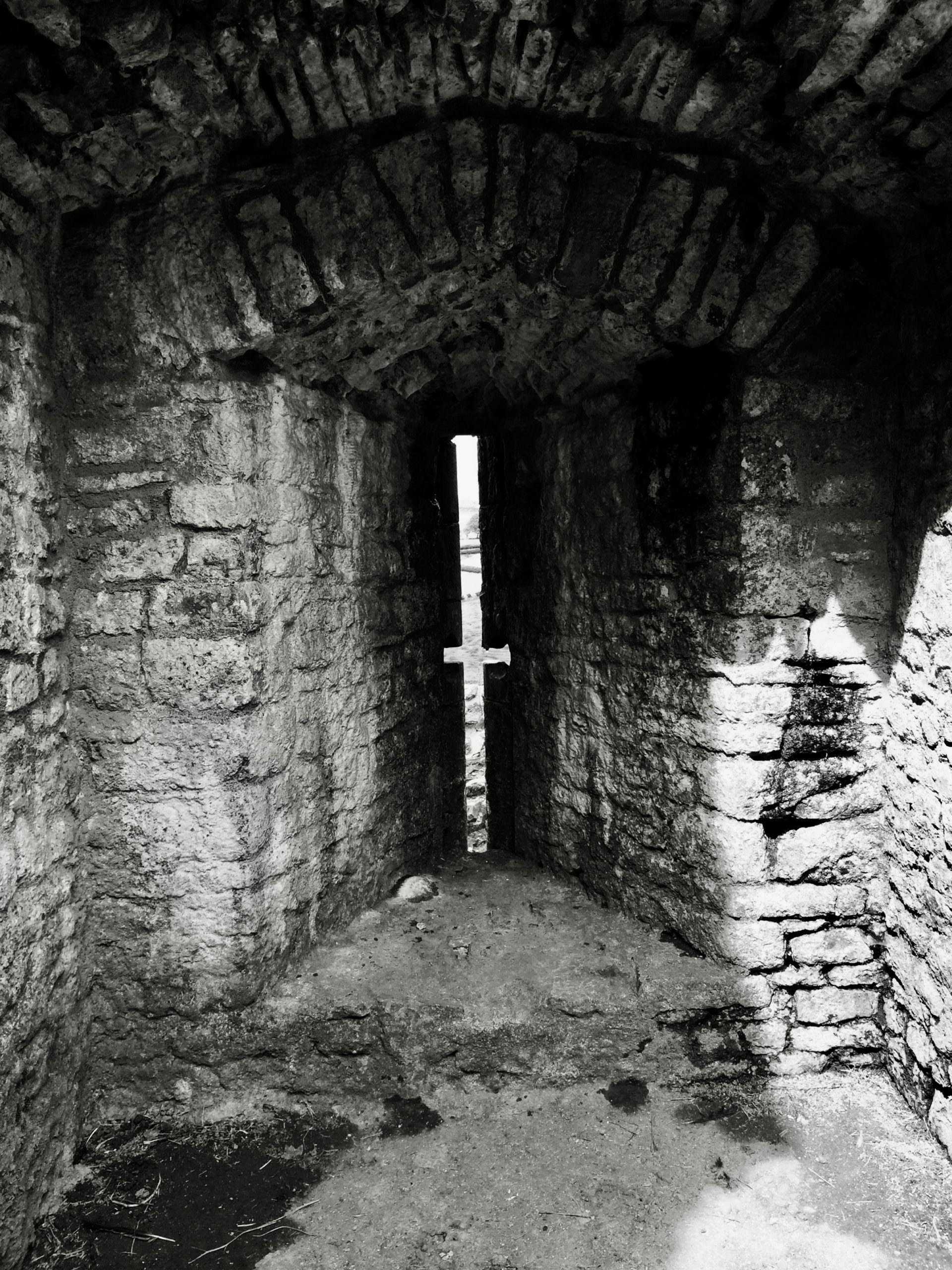 Hope is Never Lost – Wandering Way